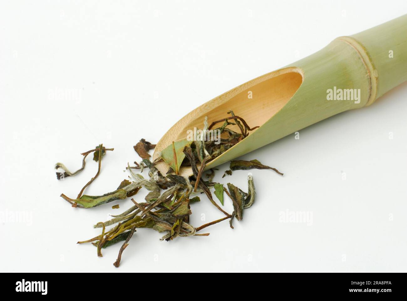 White tea, leaves, Pai Mu Tan Stock Photo - Alamy