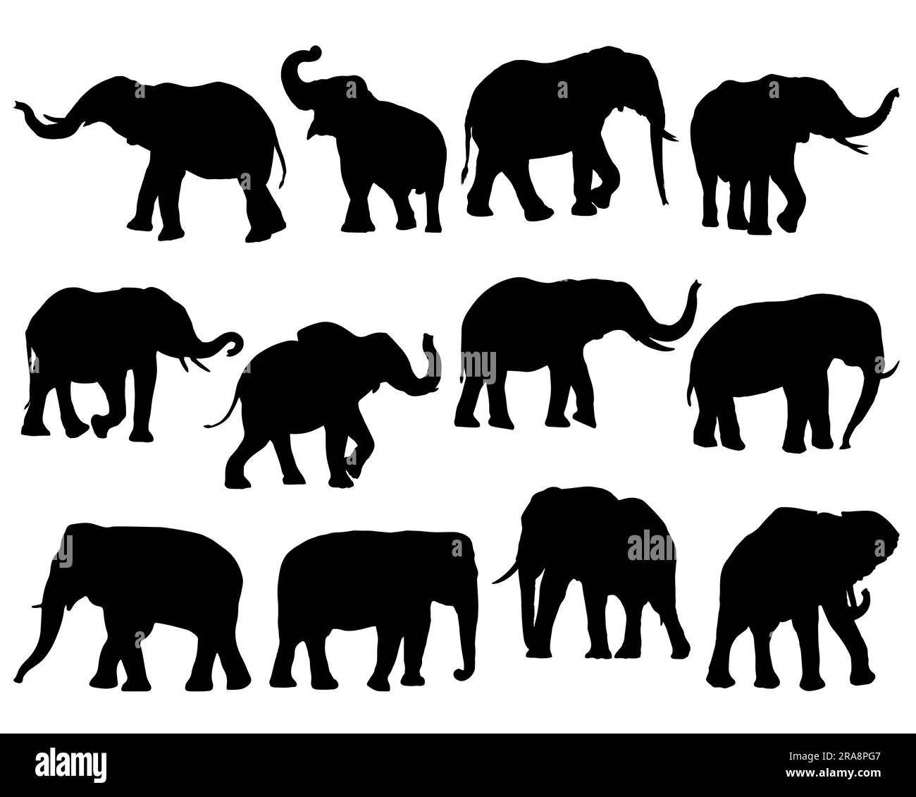 Cartoon funny baby elephant isolated Cut Out Stock Images & Pictures ...