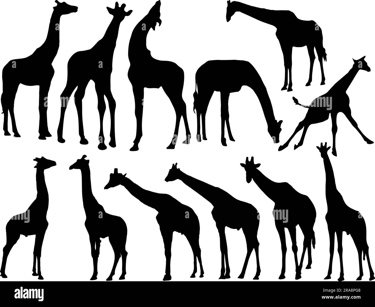 Giraffe and monkey Cut Out Stock Images & Pictures - Alamy