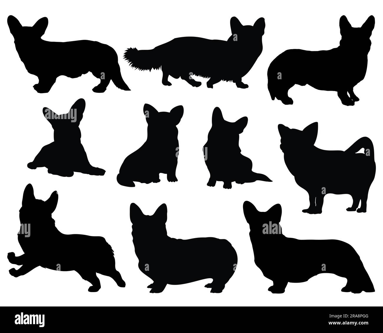 Corgi welsh pembroke isolated Stock Vector Images - Alamy