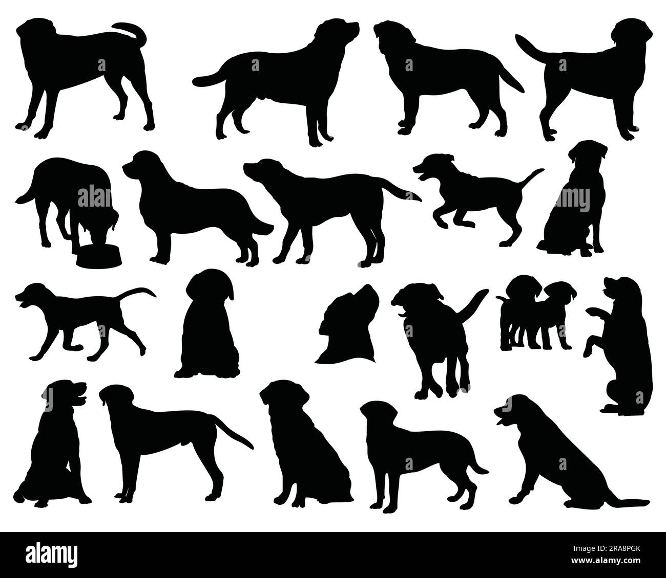 Labrador retriever puppy Stock Vector Images - Alamy