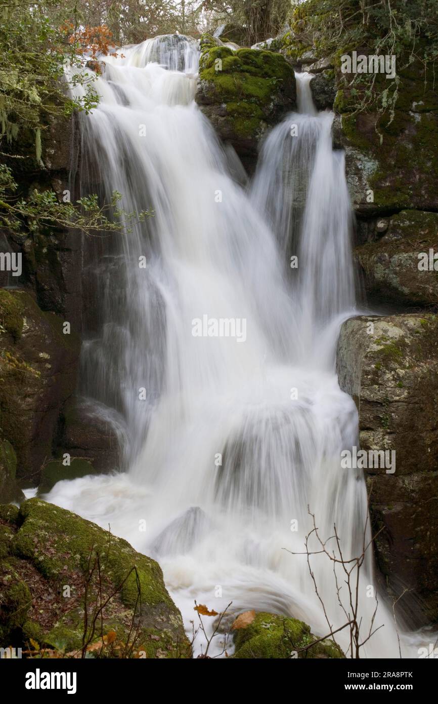 Salighes hi-res stock photography and images - Alamy