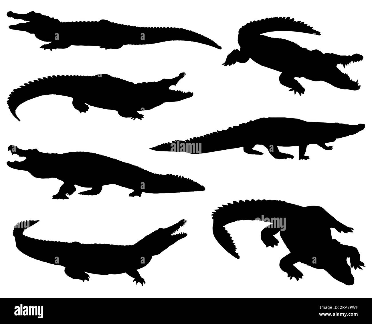Crocodile fun vector cartoon Black and White Stock Photos & Images - Alamy