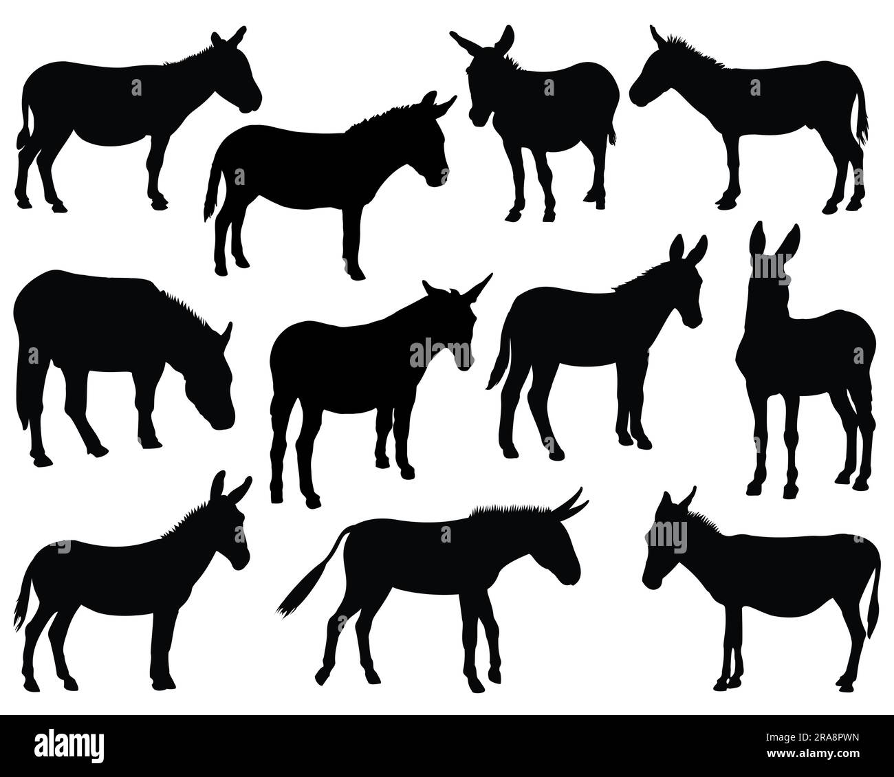 Donkey vector vectors hi-res stock photography and images - Alamy