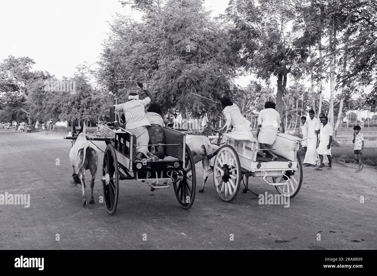 black and white photo, Rekla or bullock cart race in Pollachi, Tamil ...