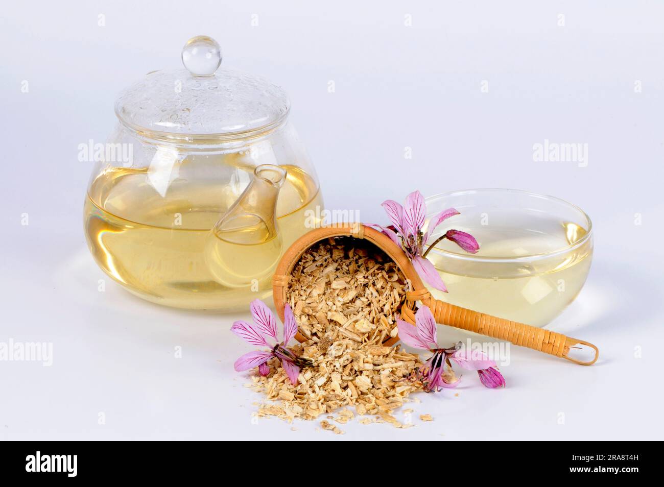 Cup and teapot with diptam tea, dittany (Dictamnus albus), Ashroot ...