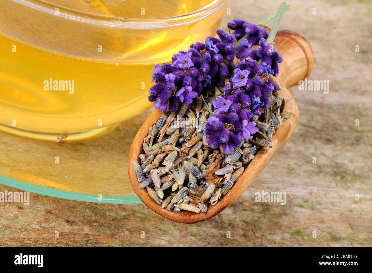 Cup of lavender tea (Lavandula angustifolia Stock Photo - Alamy