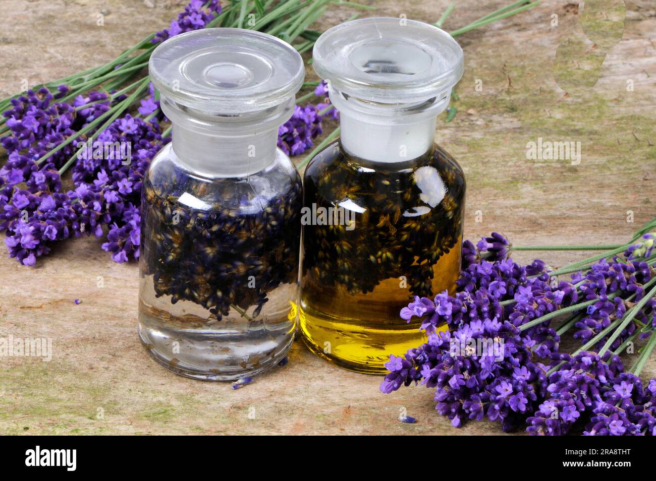 Lavender oil and lavender tincture (Lavandula angustifolia), lavender ...