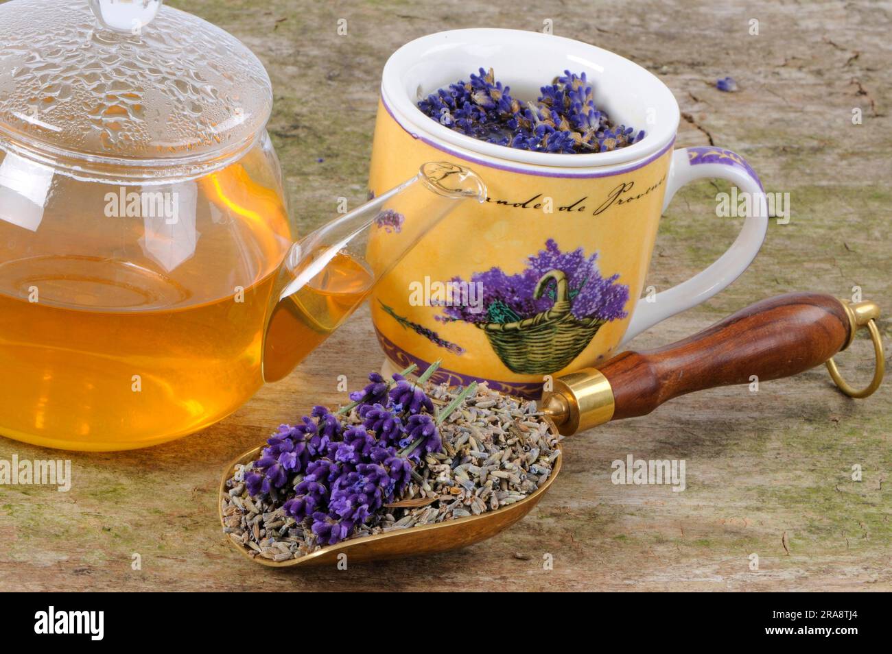 Teapot with lavender tea (Lavandula angustifolia Stock Photo - Alamy