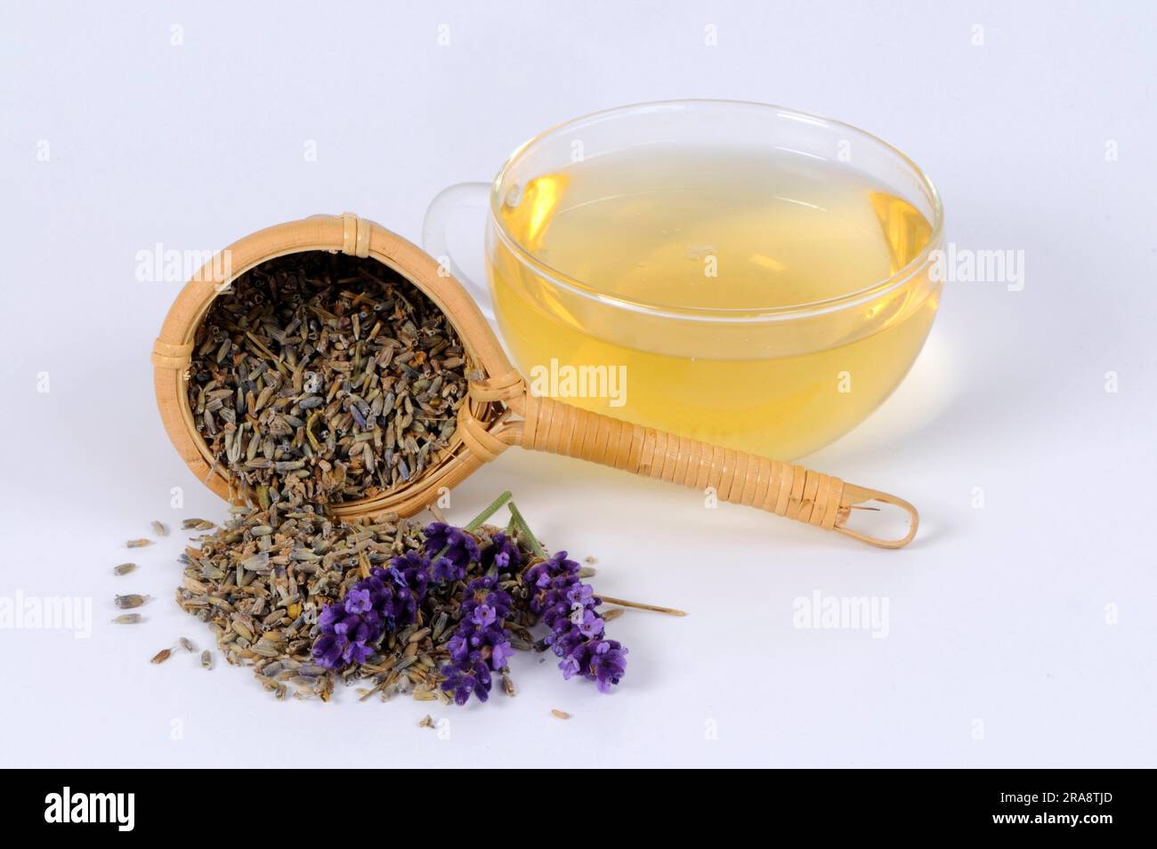 Cup of lavender tea (Lavandula angustifolia Stock Photo - Alamy