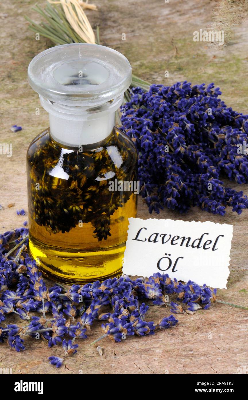 Lavender oil (Lavandula angustifolia), Lavender oil Stock Photo - Alamy