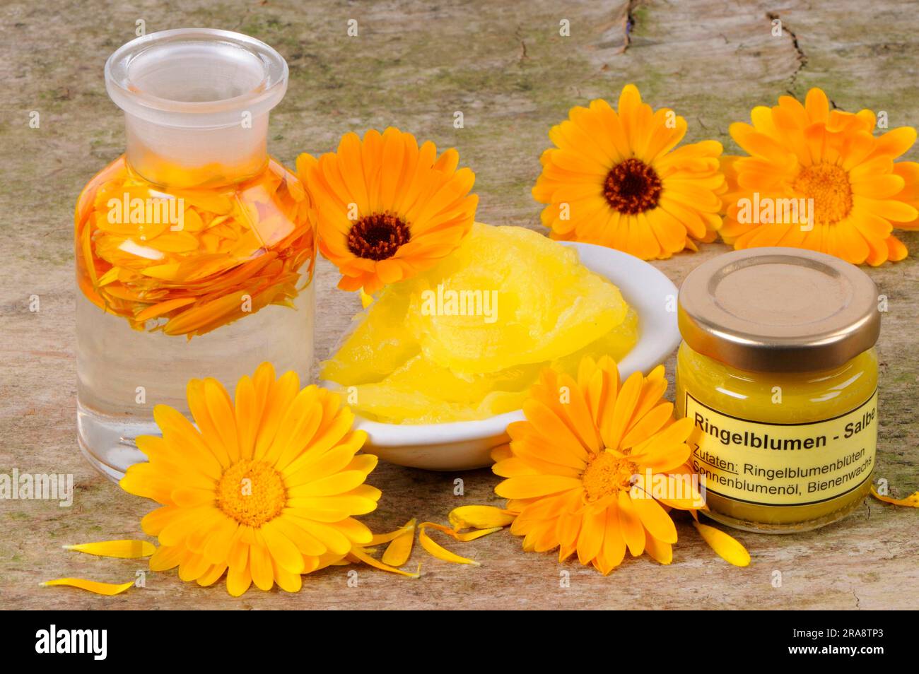 Marigold (Calendula officinalis), calendula ointment and calendula ...