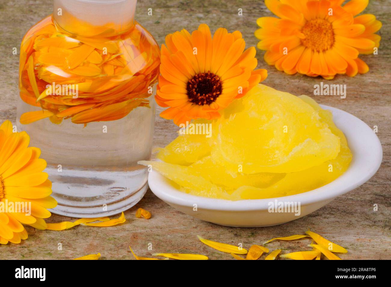 Marigold (Calendula officinalis), calendula tincture and calendula ...