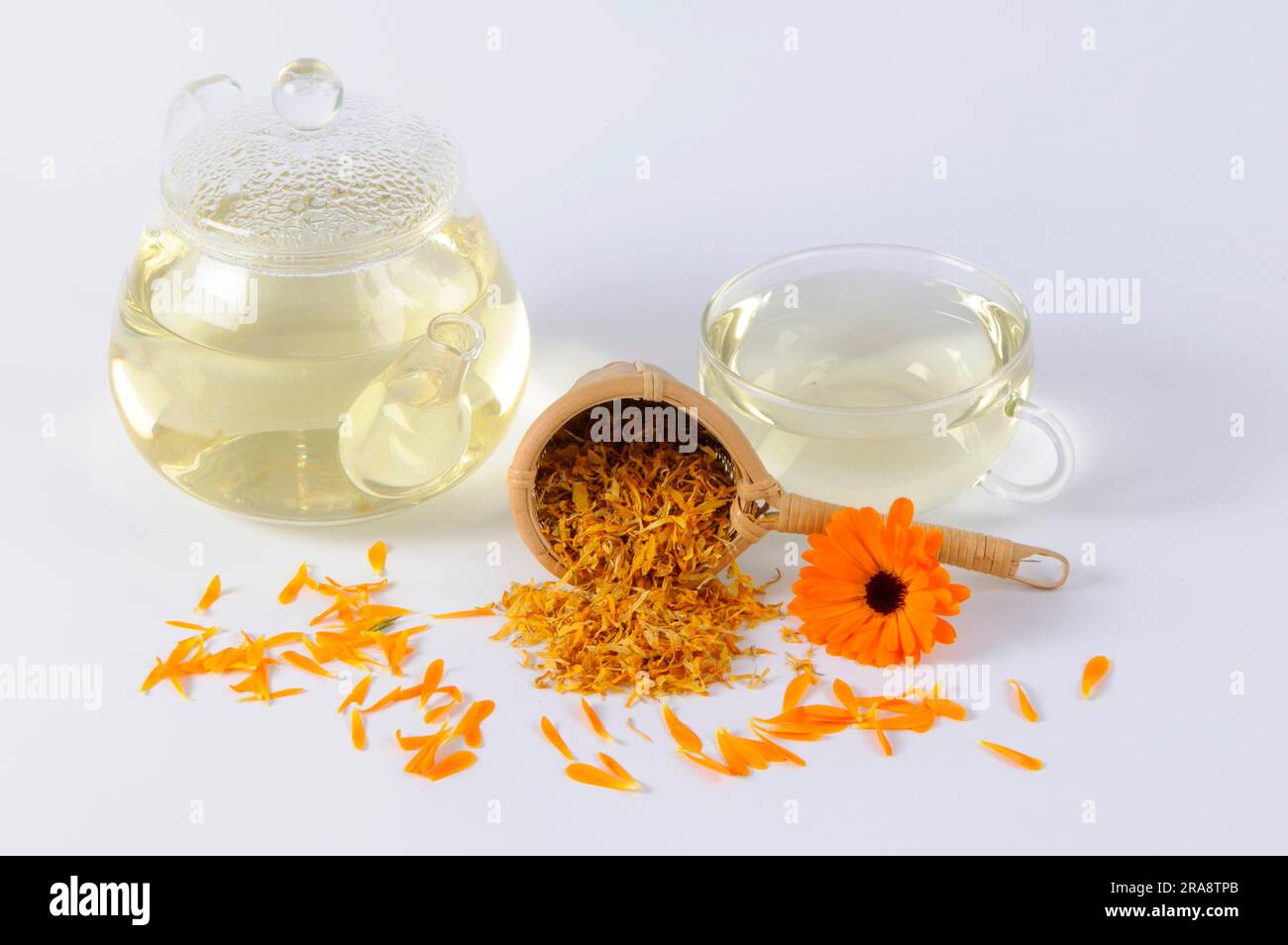 Cup and teapot with marigold tea (Calendula officinalis), marigold tea ...