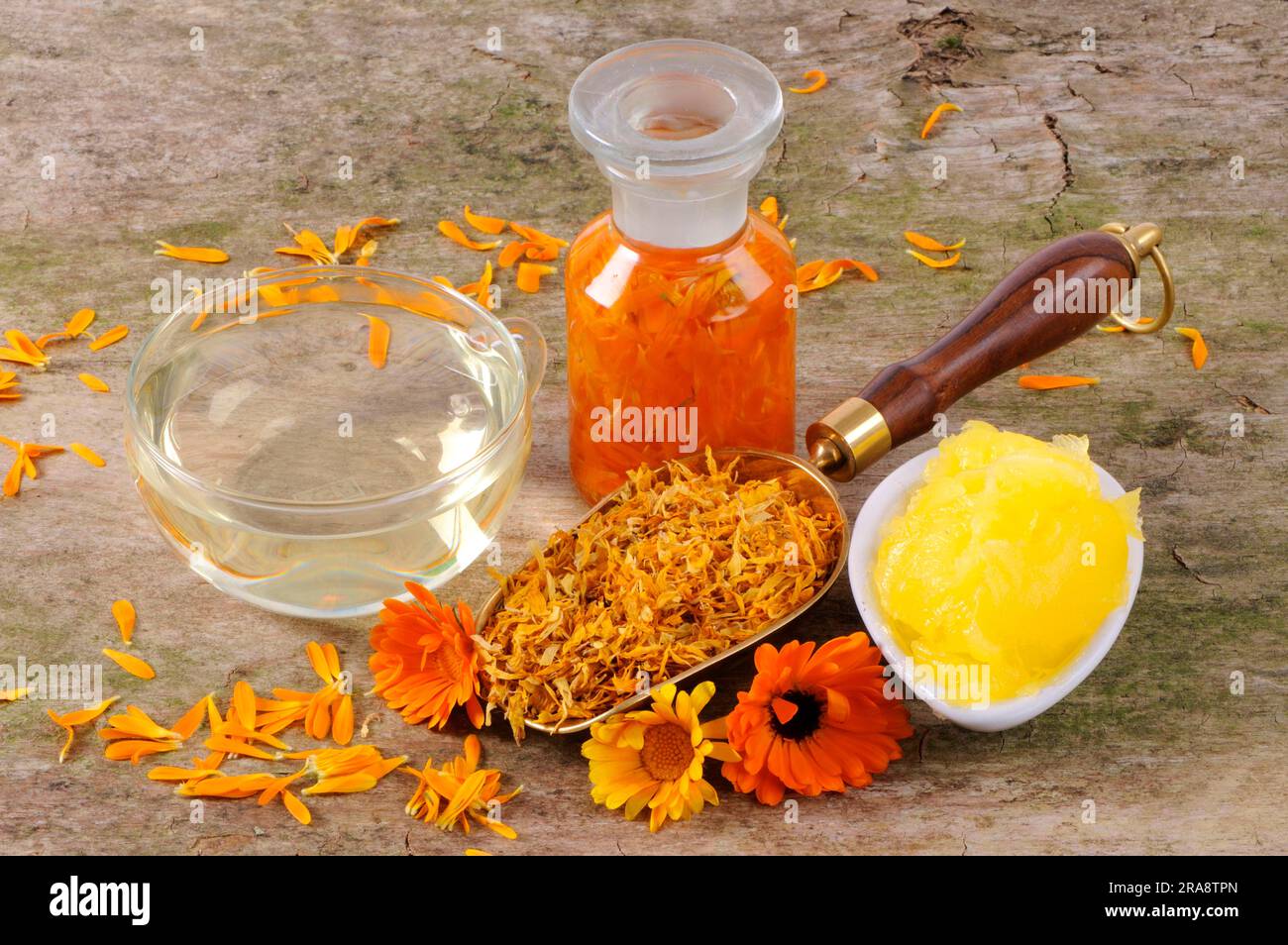 Cup of marigold tea (Calendula officinalis) marigold tincture and ...