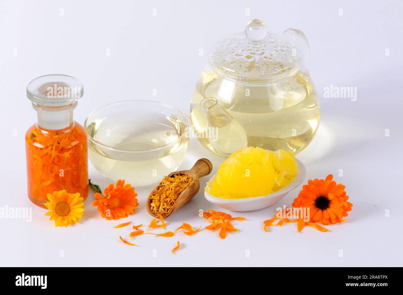 Cup and teapot with marigold tea (Calendula officinalis) marigold ...