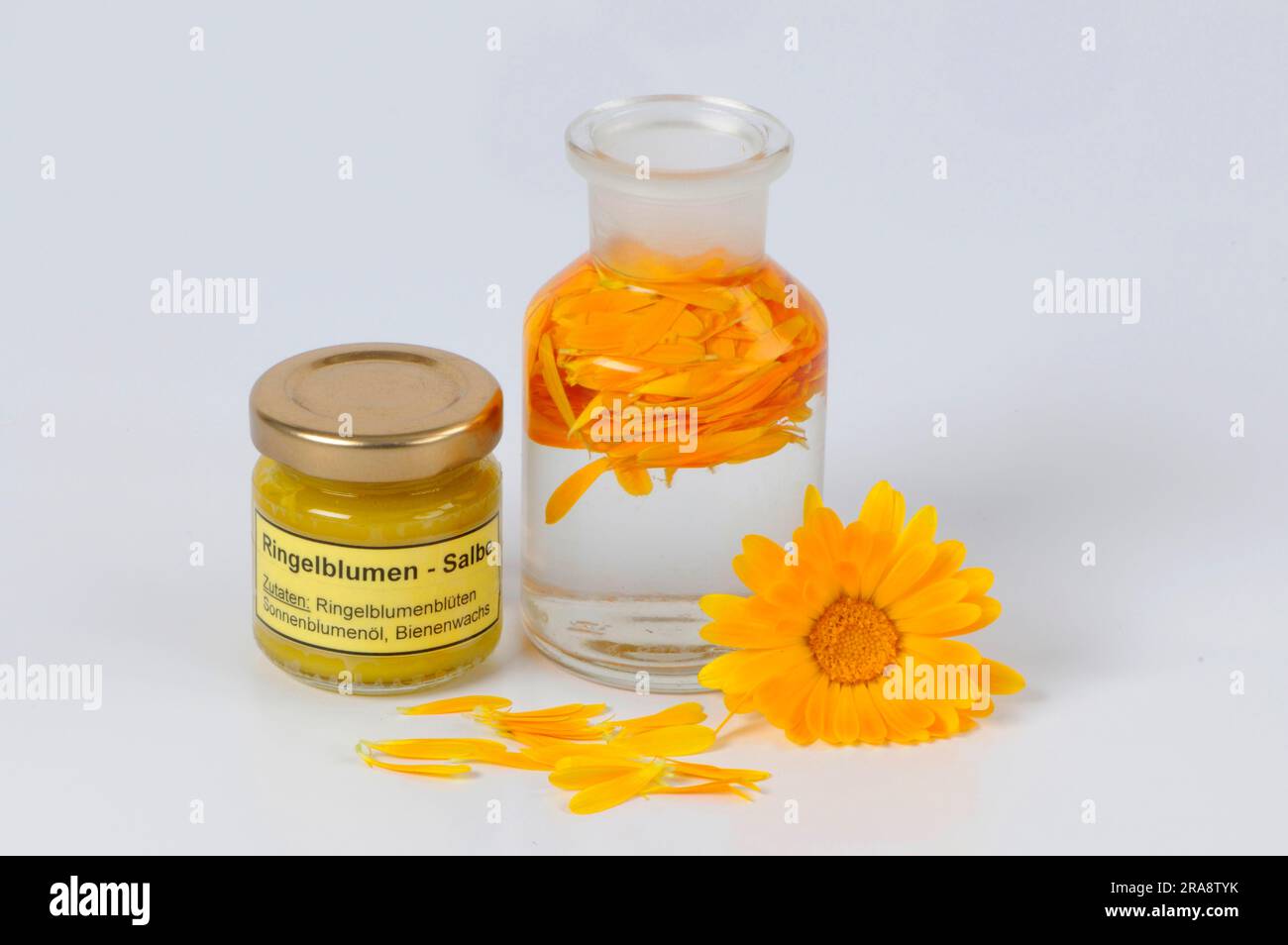 Common Marigold (Calendula officinalis), Marigold tincture and Marigold ...