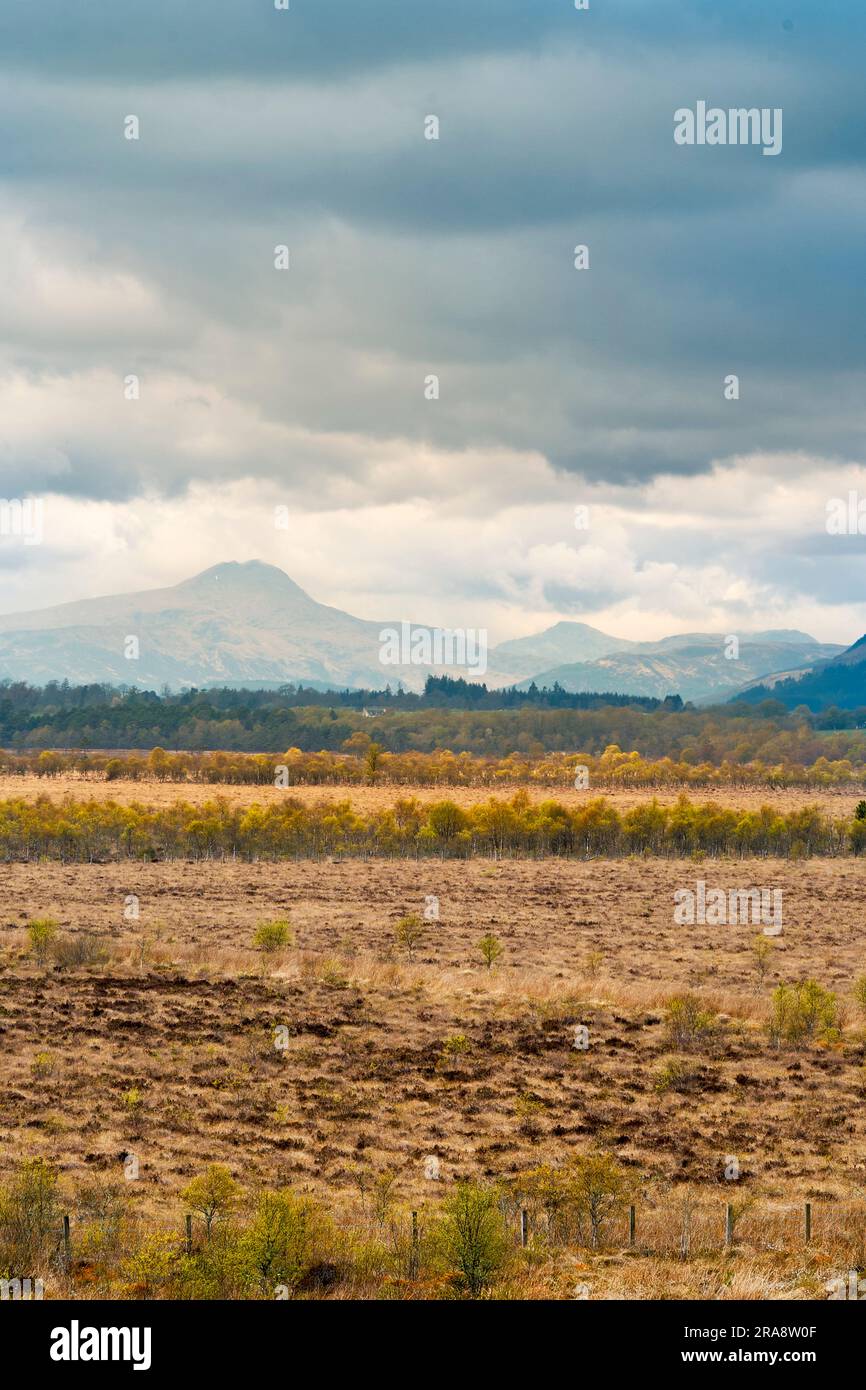 Elevated view of Flander's Moss nature reserve. Flander's Moss is a ...