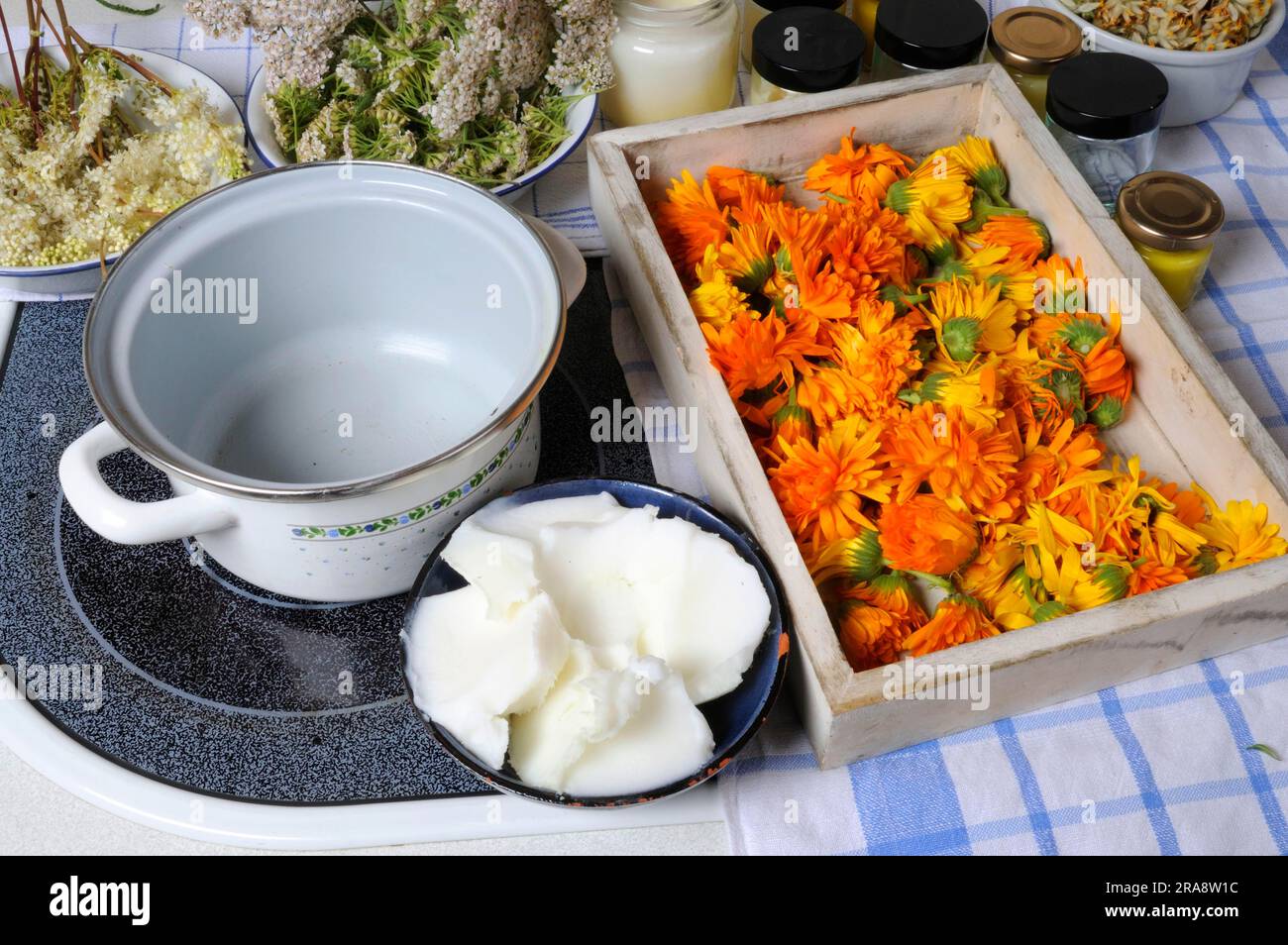 Preparation of meadowsweet ointment, marigold ointment and yarrow ...
