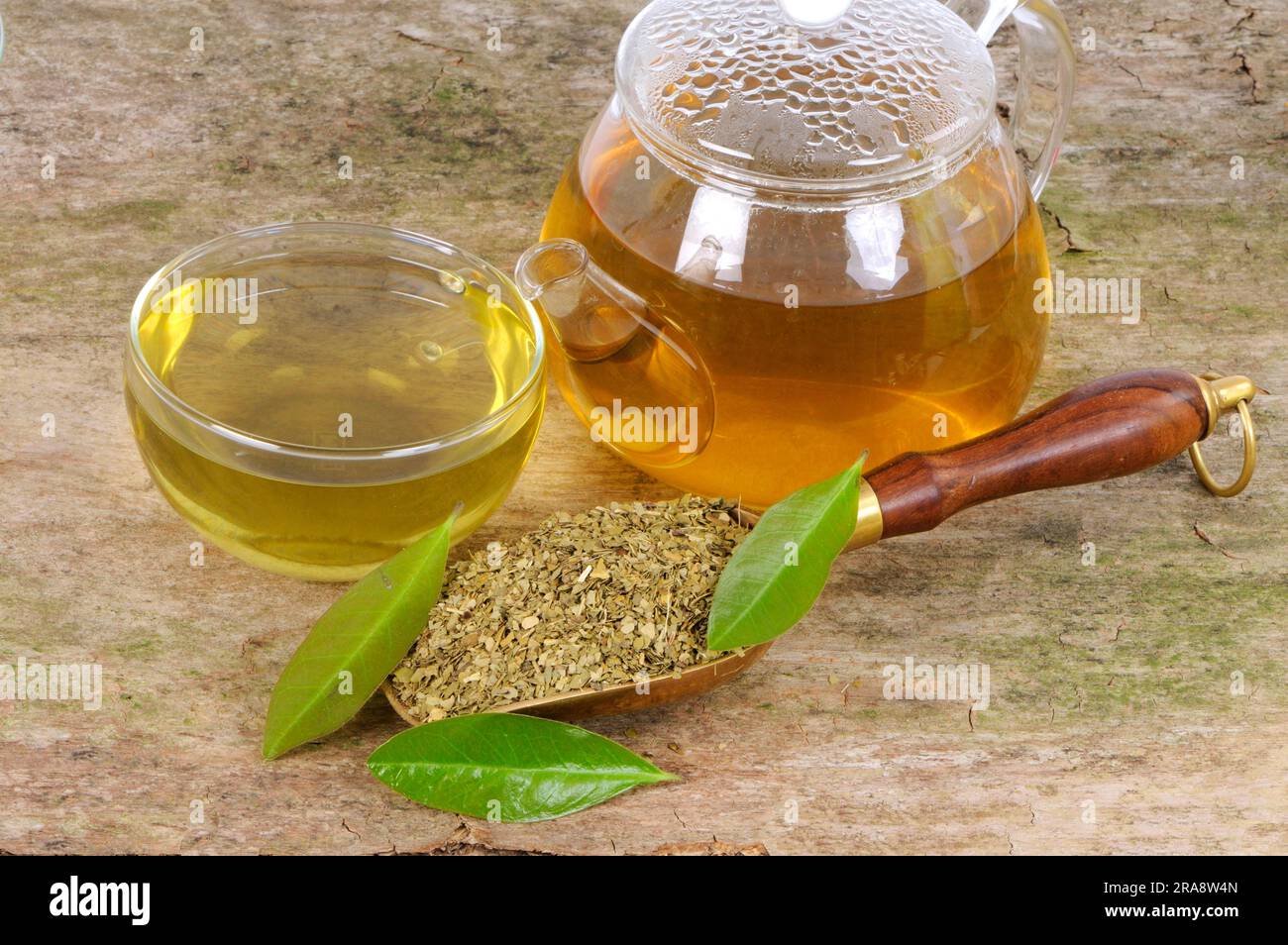 Cup and teapot with mate tea (Ilex paraguariensis), mate Stock Photo ...