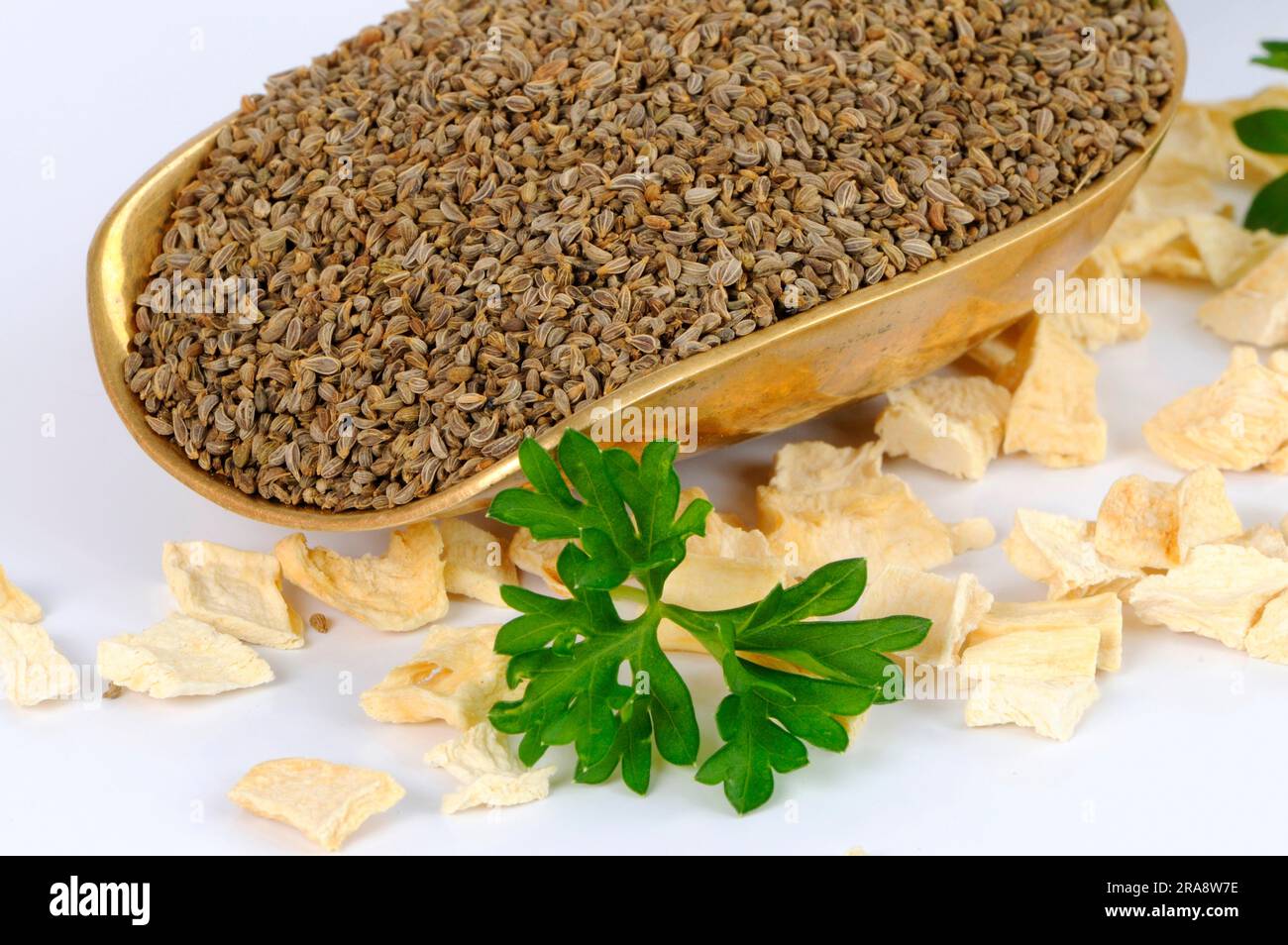 Drug seed hi-res stock photography and images - Alamy