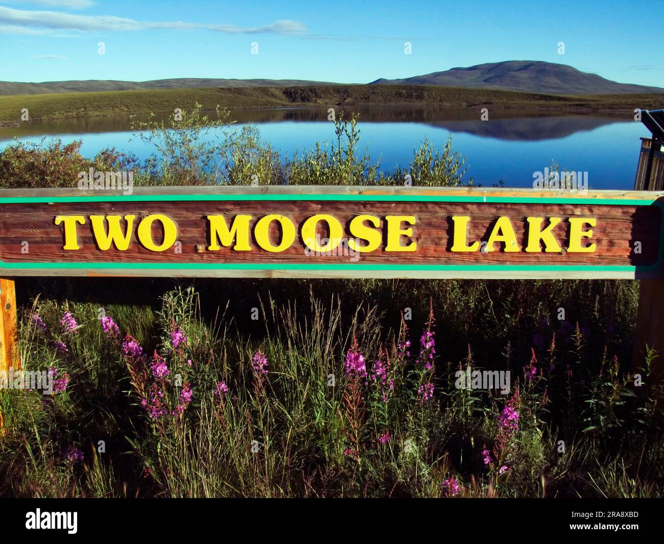Shield, Two Moose Lake, Tombstone Territorial Park, Yukon, Canada Stock ...