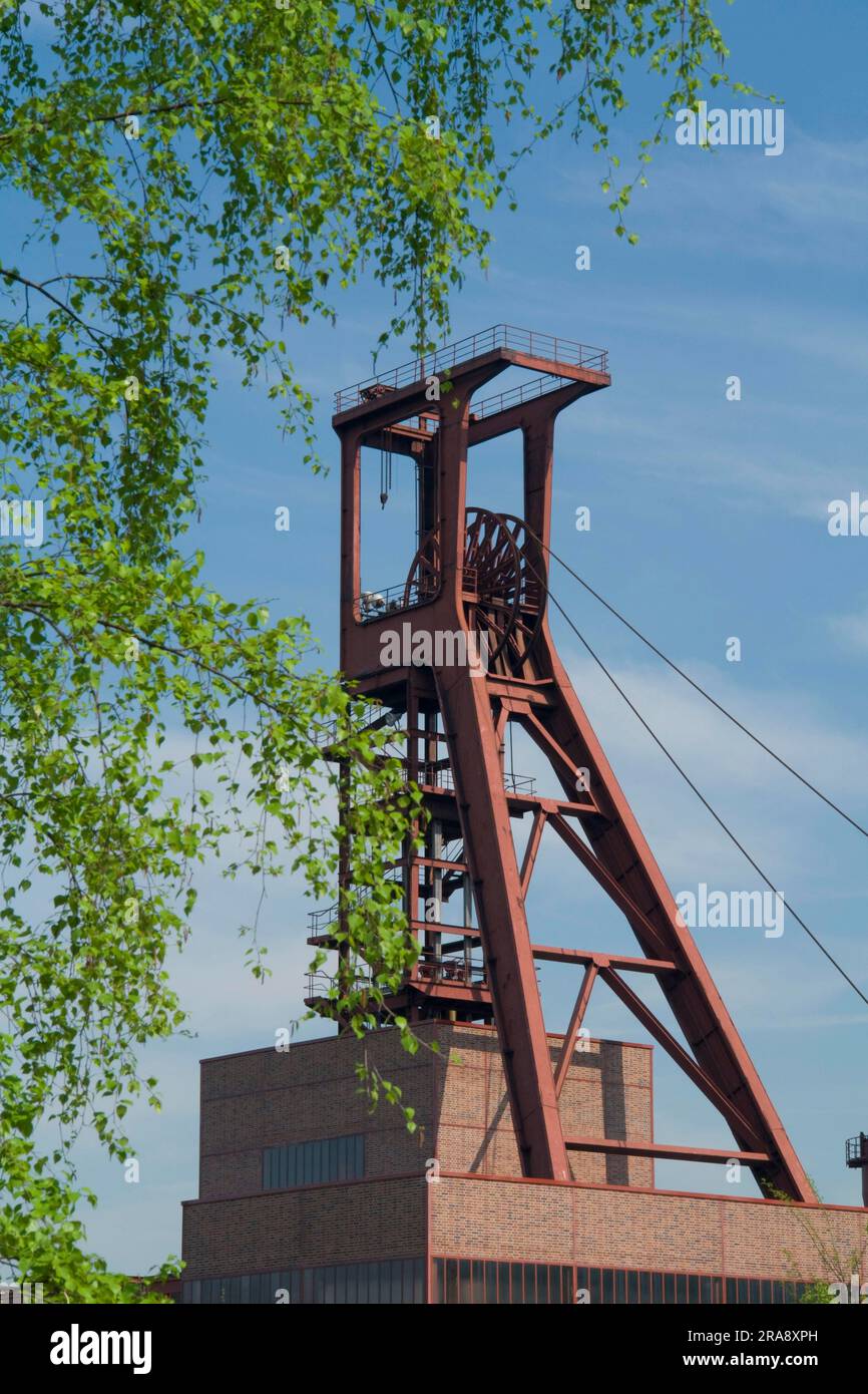 Industrial Monument Zollverein Colliery, Essen, Ruhr Area, North Rhine ...