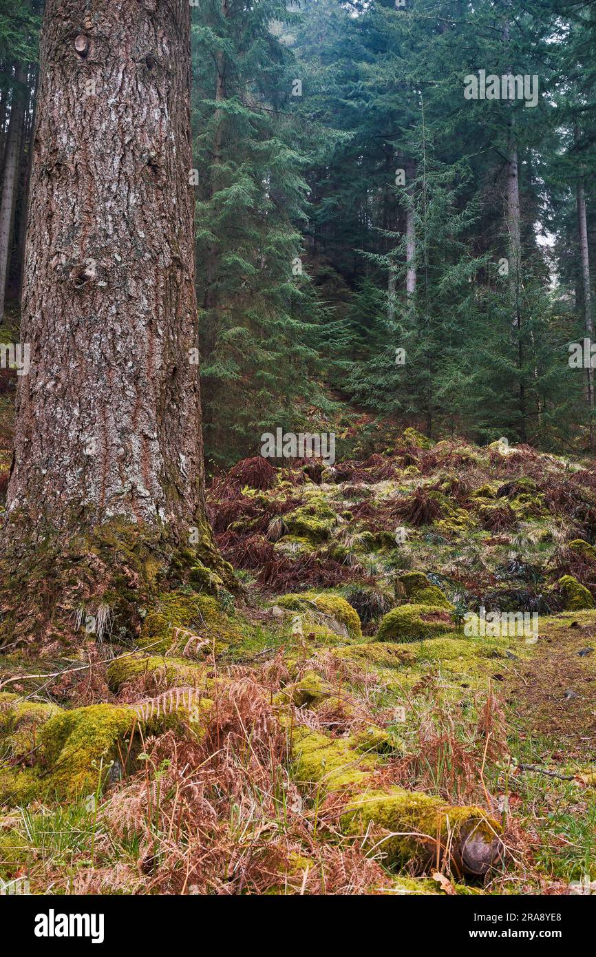 Interior view scottish national hi-res stock photography and images - Alamy