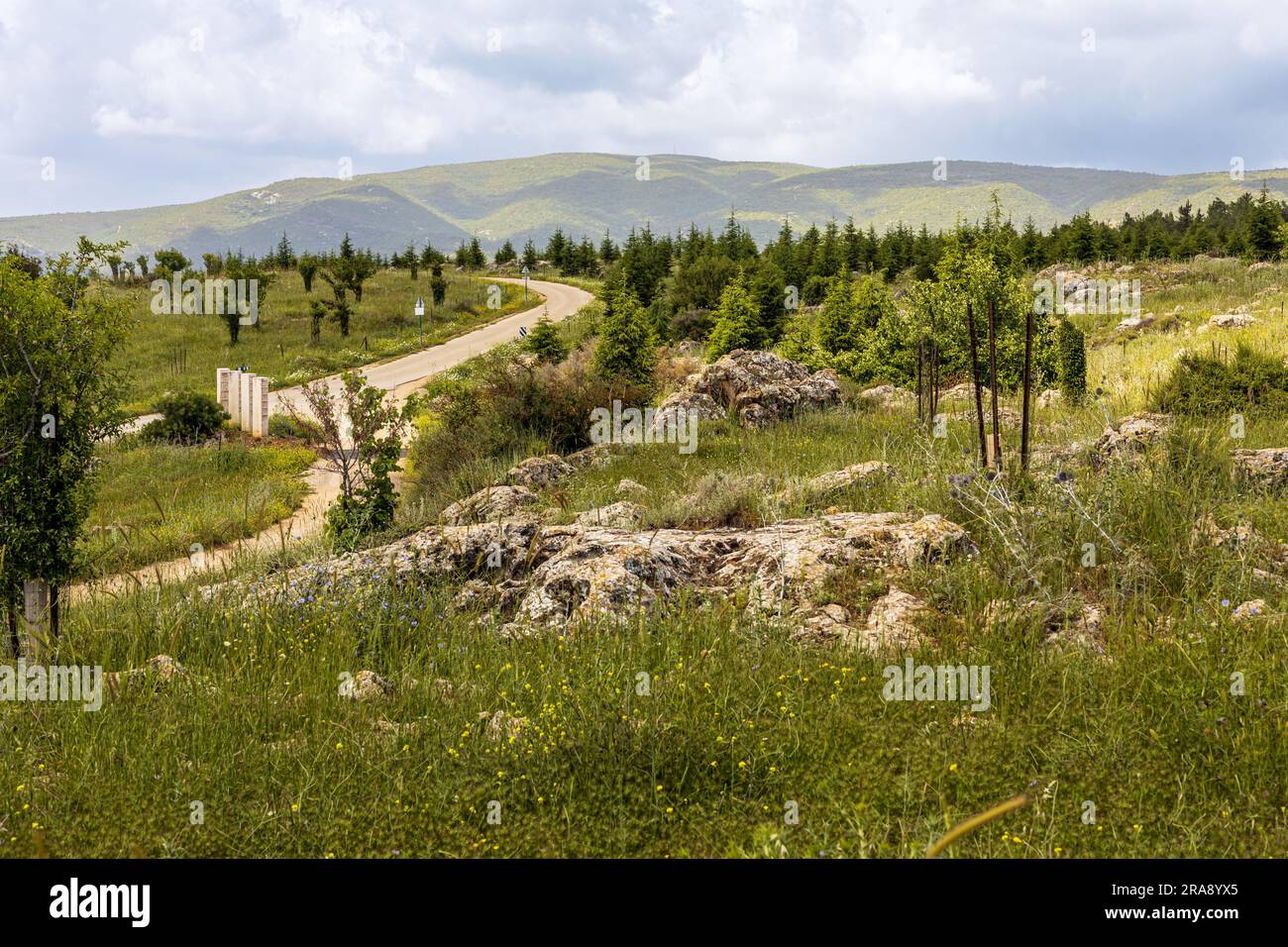 Mount Meron is a mountain in the Upper Galilee region of Israel. It has ...
