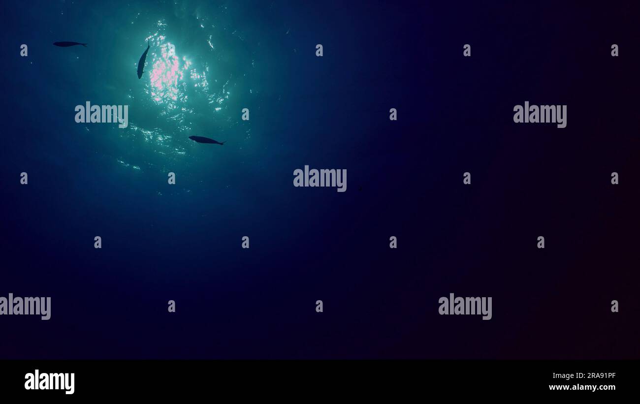 View of sun light from blue abyss, slow motion. Light filters down ...