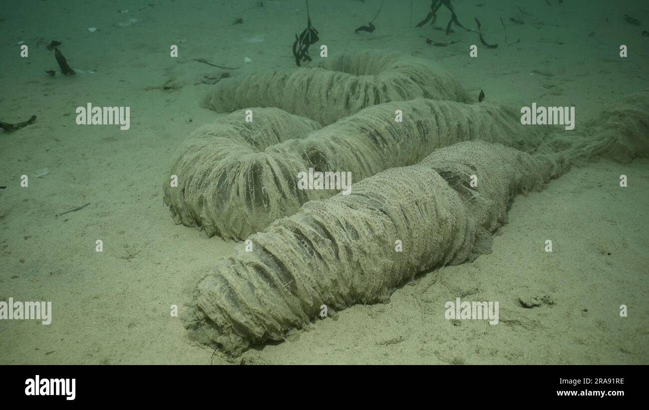 Jelly-like pipe on sandy seabed. Sausage jelly on sand at bottom of sea ...