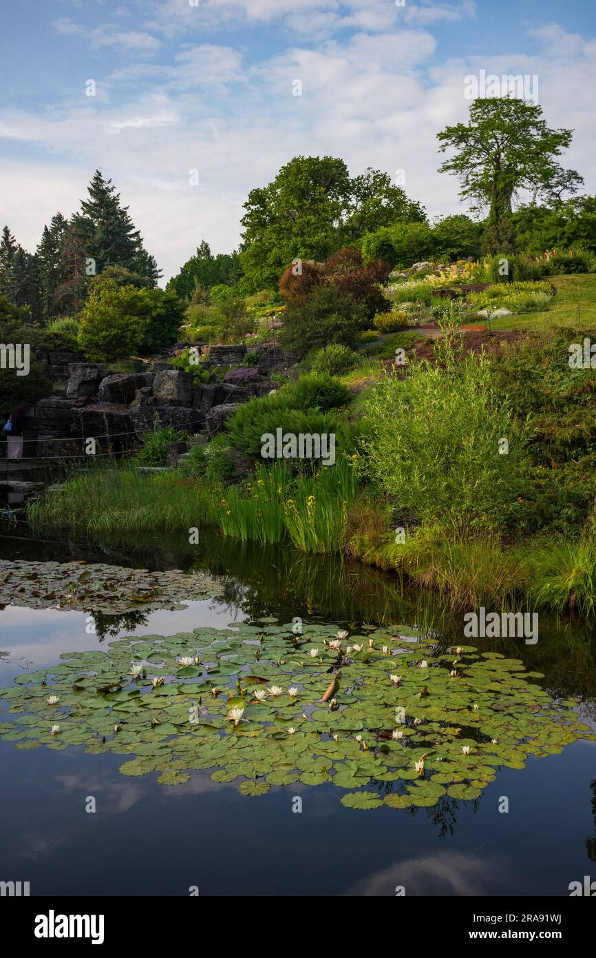 Botanisk hage is Norway's oldest botanical garden, a free Oslo oasis ...