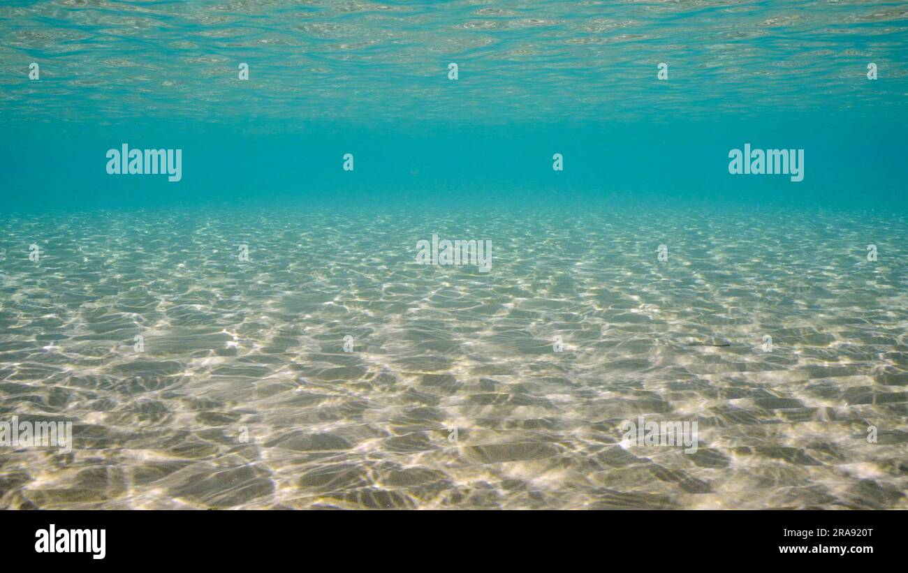 Sandy shallow water in sunburst and glare on seabed sand. Sunlight ...