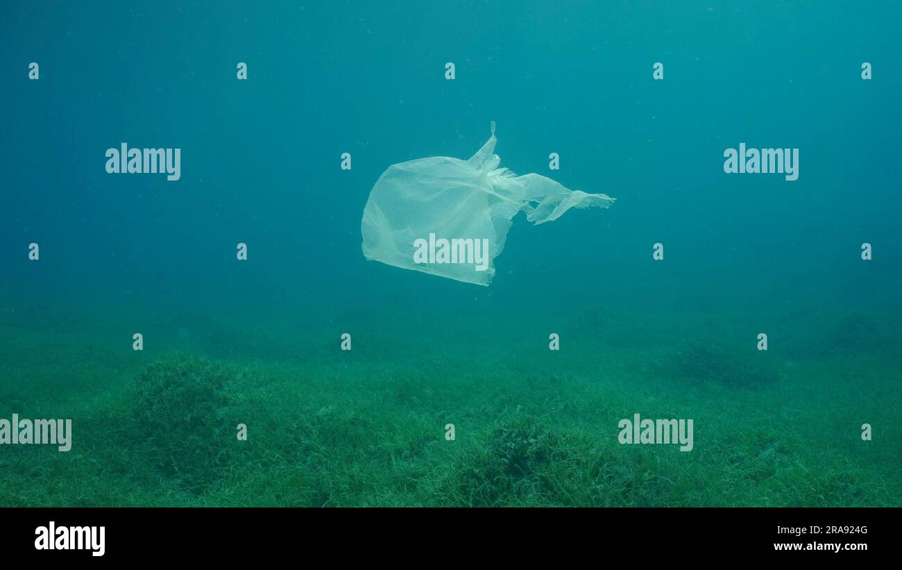 Old plastic bag drifting in water column over seagrass meadow. Plastic ...