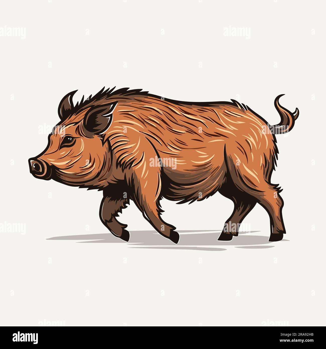 Fresh boar Stock Vector Images - Alamy