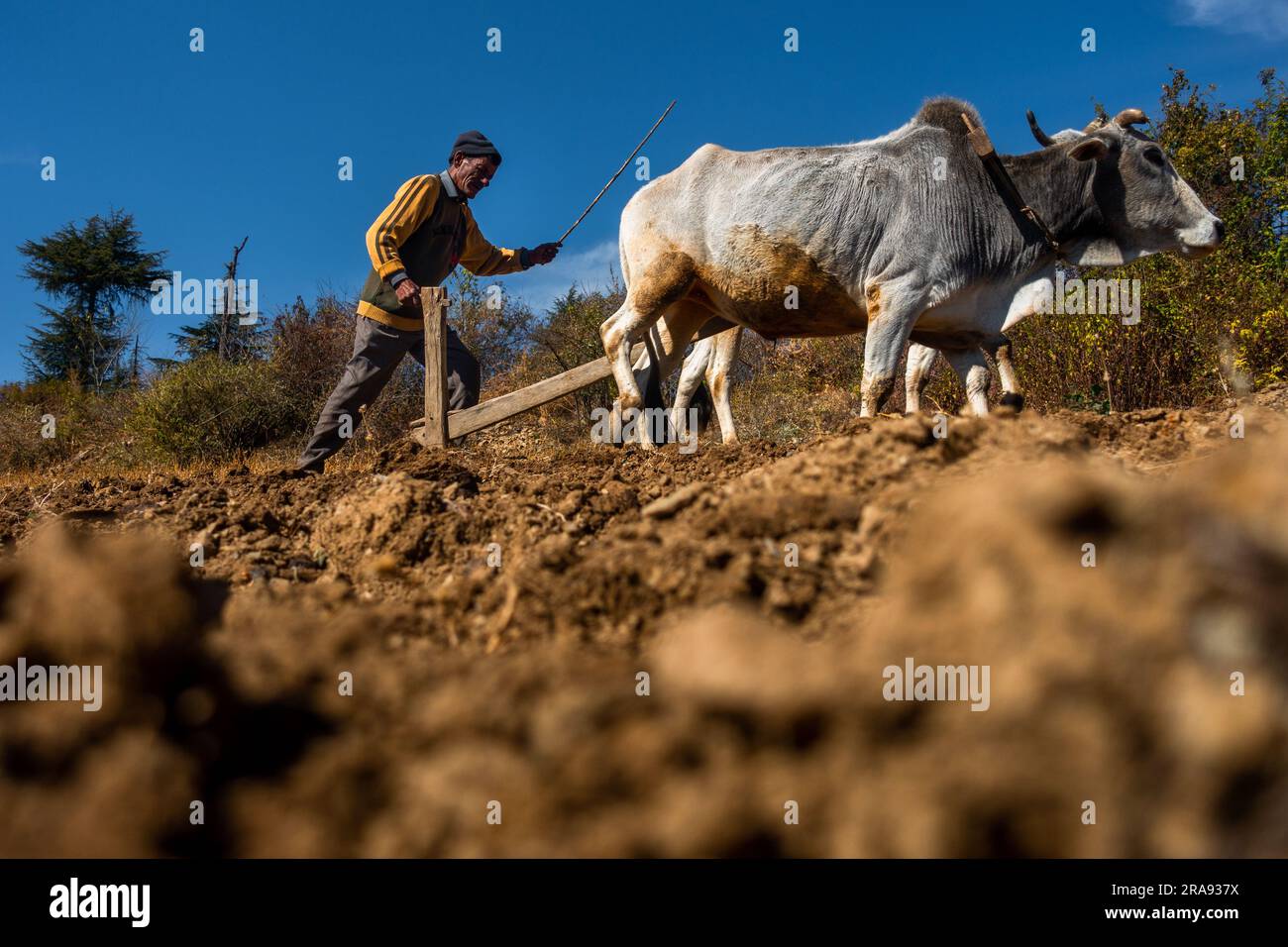 Ploughing tools hi-res stock photography and images - Alamy
