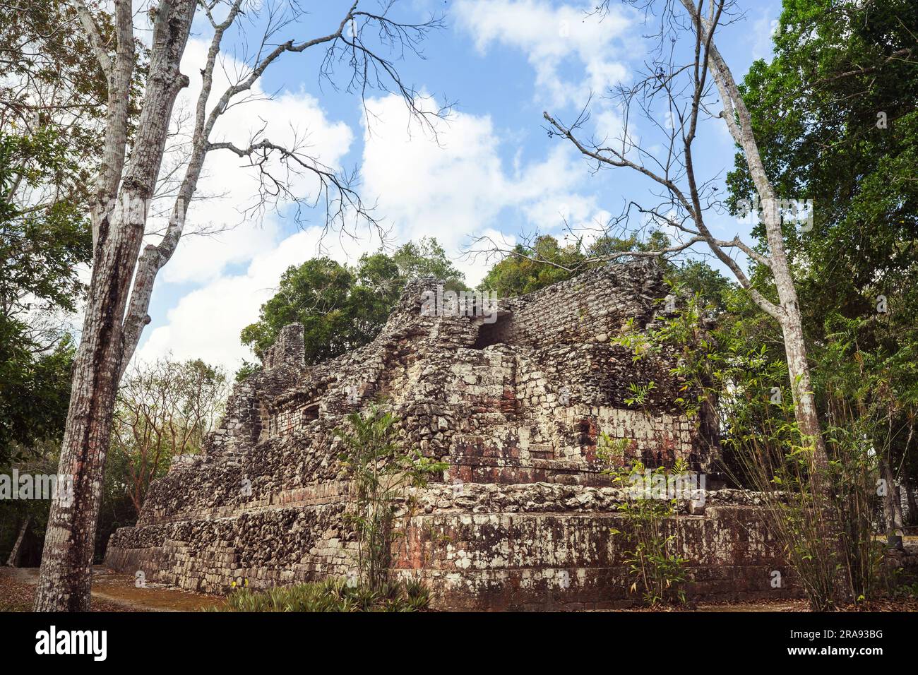Ancient maya pyramid in Guatemala Stock Photo - Alamy