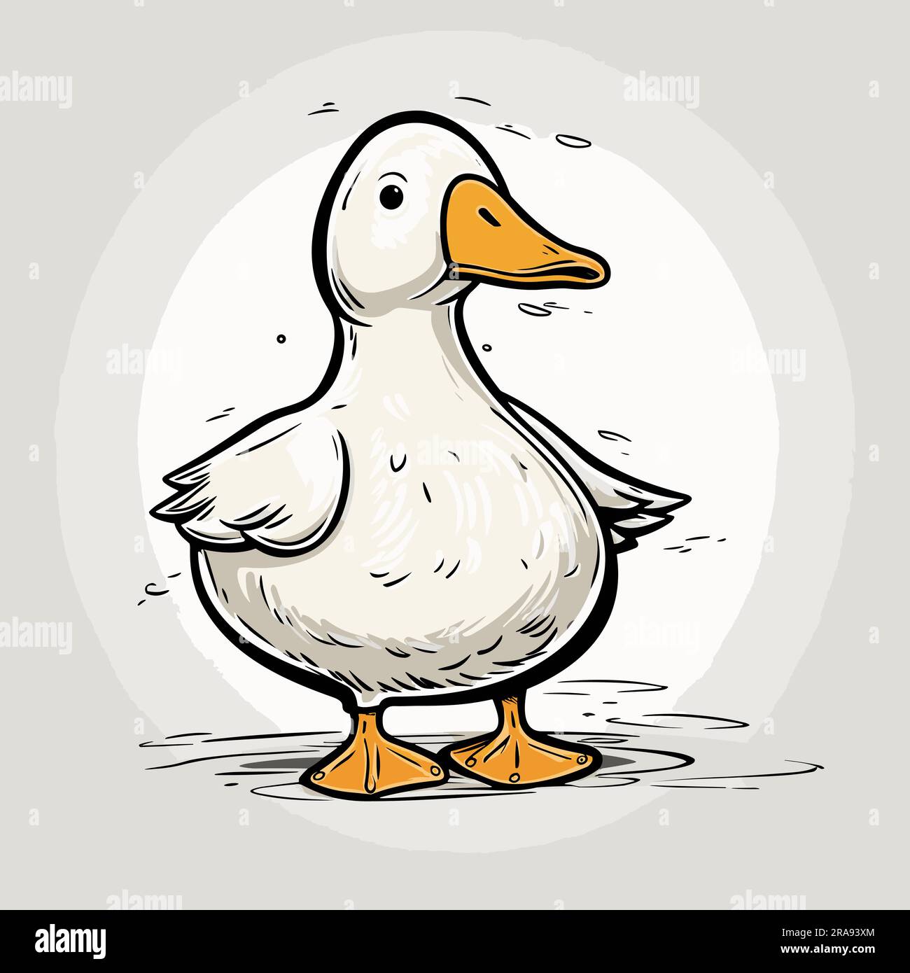 Drake hen Stock Vector Images - Alamy