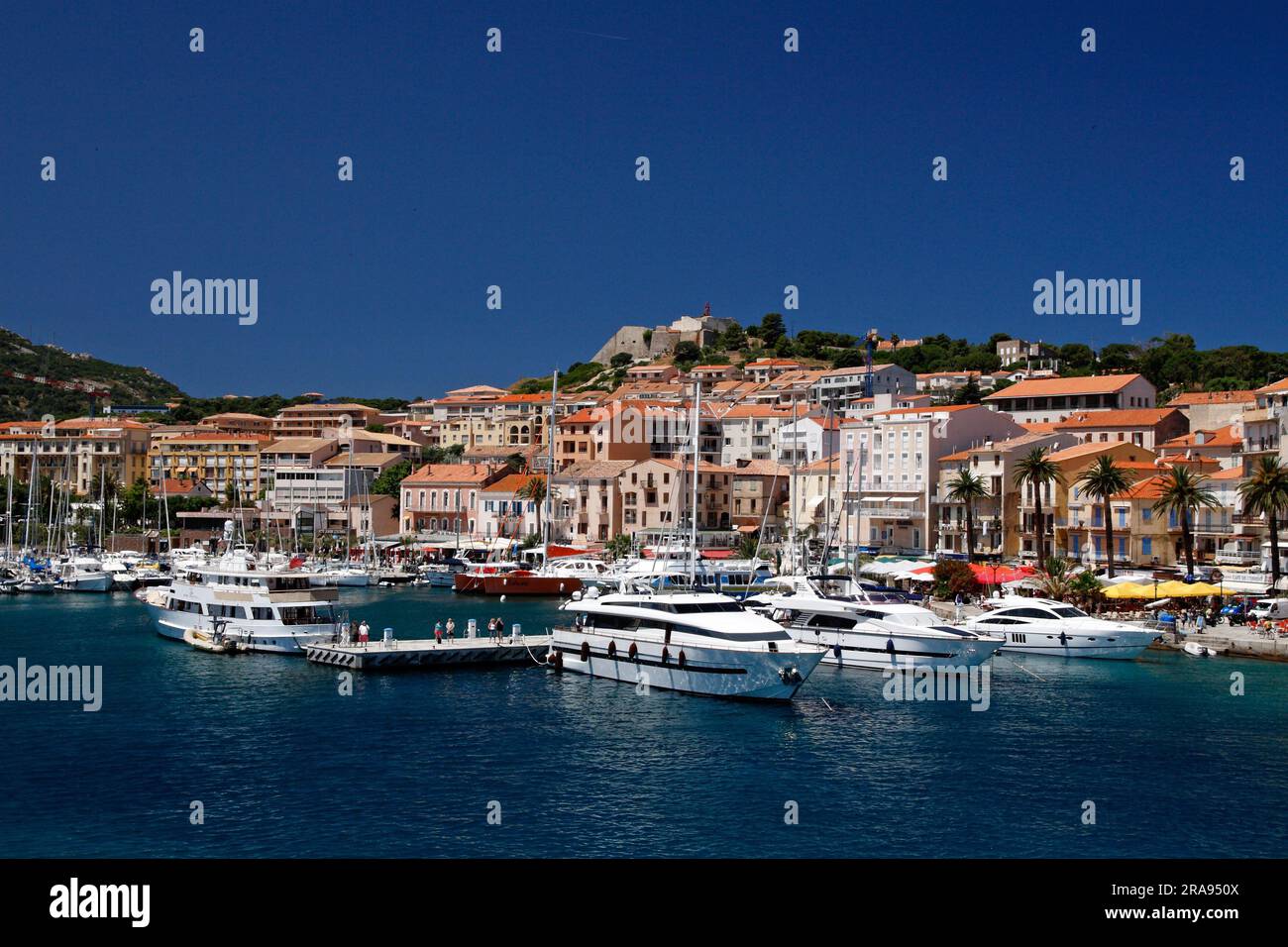 View of the port and the city of Calvi in Corsica. France Stock Photo ...