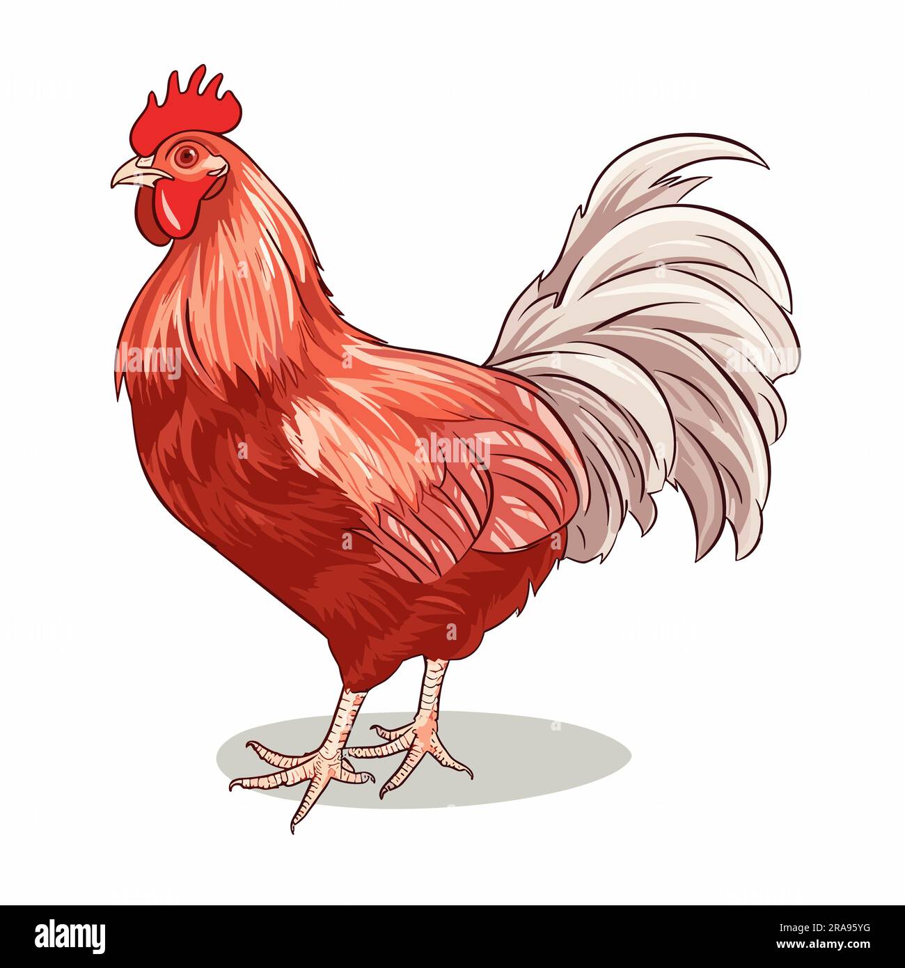 Hen. Hen hand-drawn illustration. Vector doodle style cartoon ...