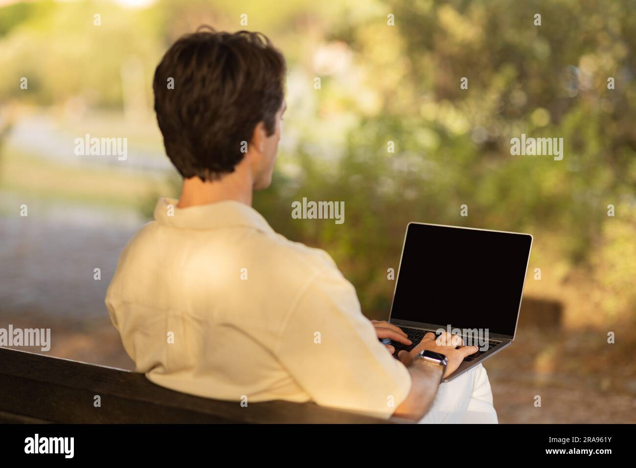 Back view man sitting on bench in park, using laptop Stock Photo - Alamy