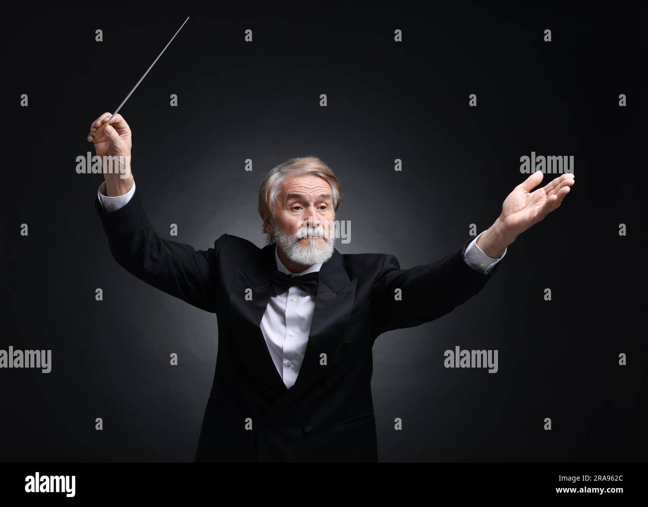 Professional conductor with baton on black background Stock Photo - Alamy