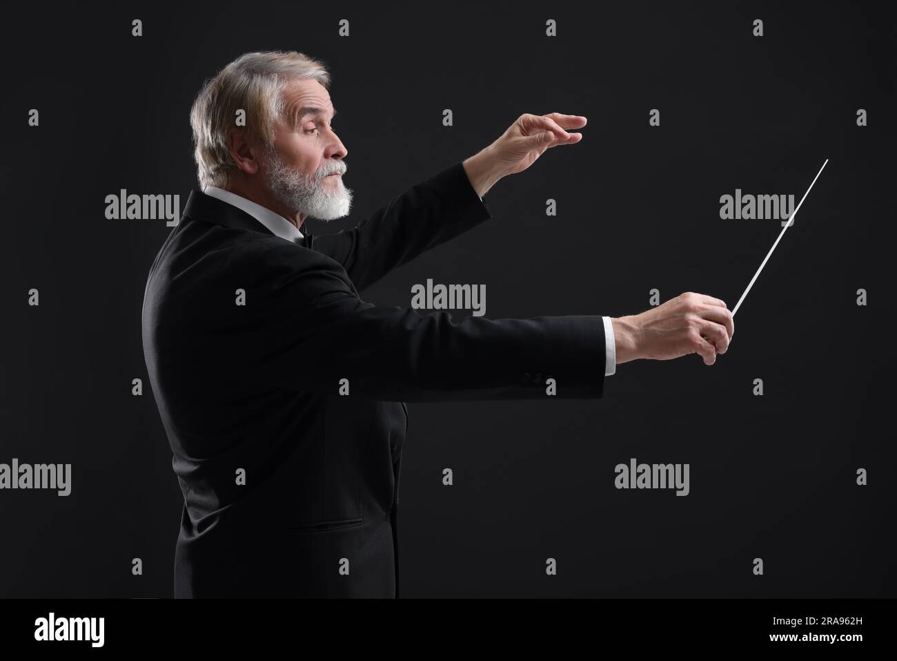 Professional conductor with baton on black background Stock Photo - Alamy