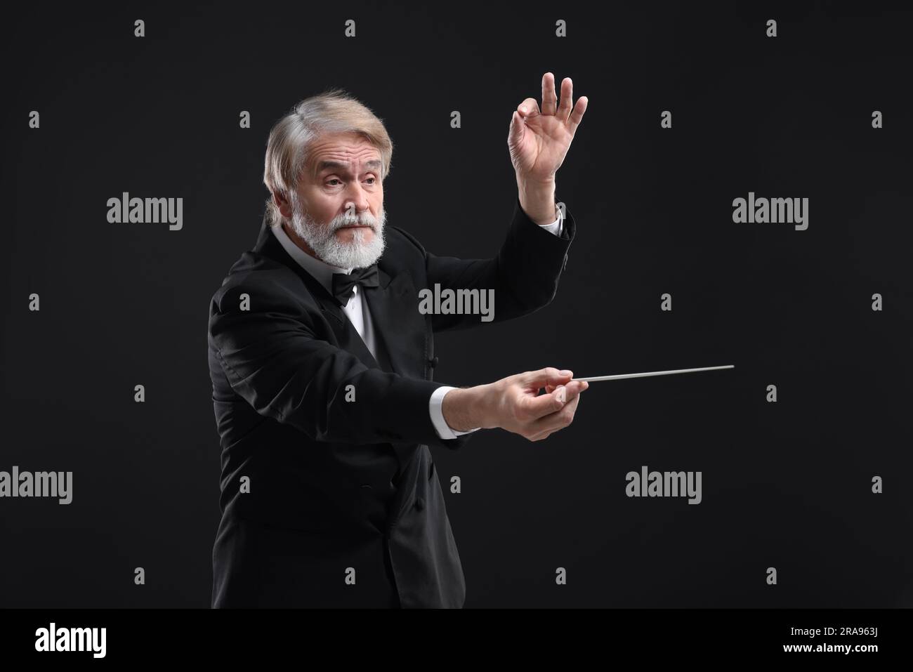 Professional conductor with baton on black background Stock Photo - Alamy