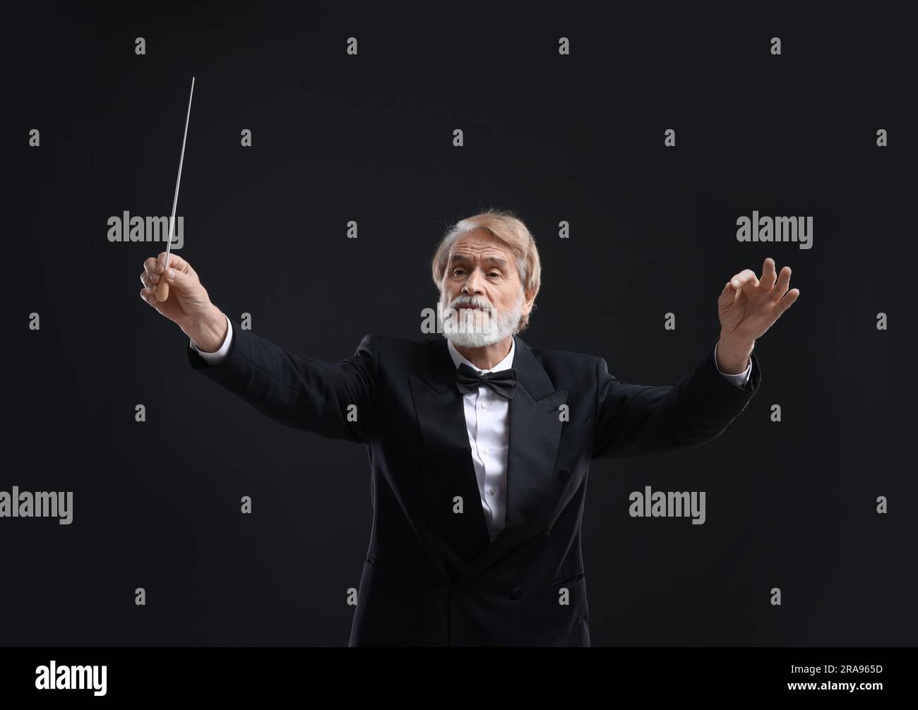 Professional conductor with baton on black background Stock Photo - Alamy