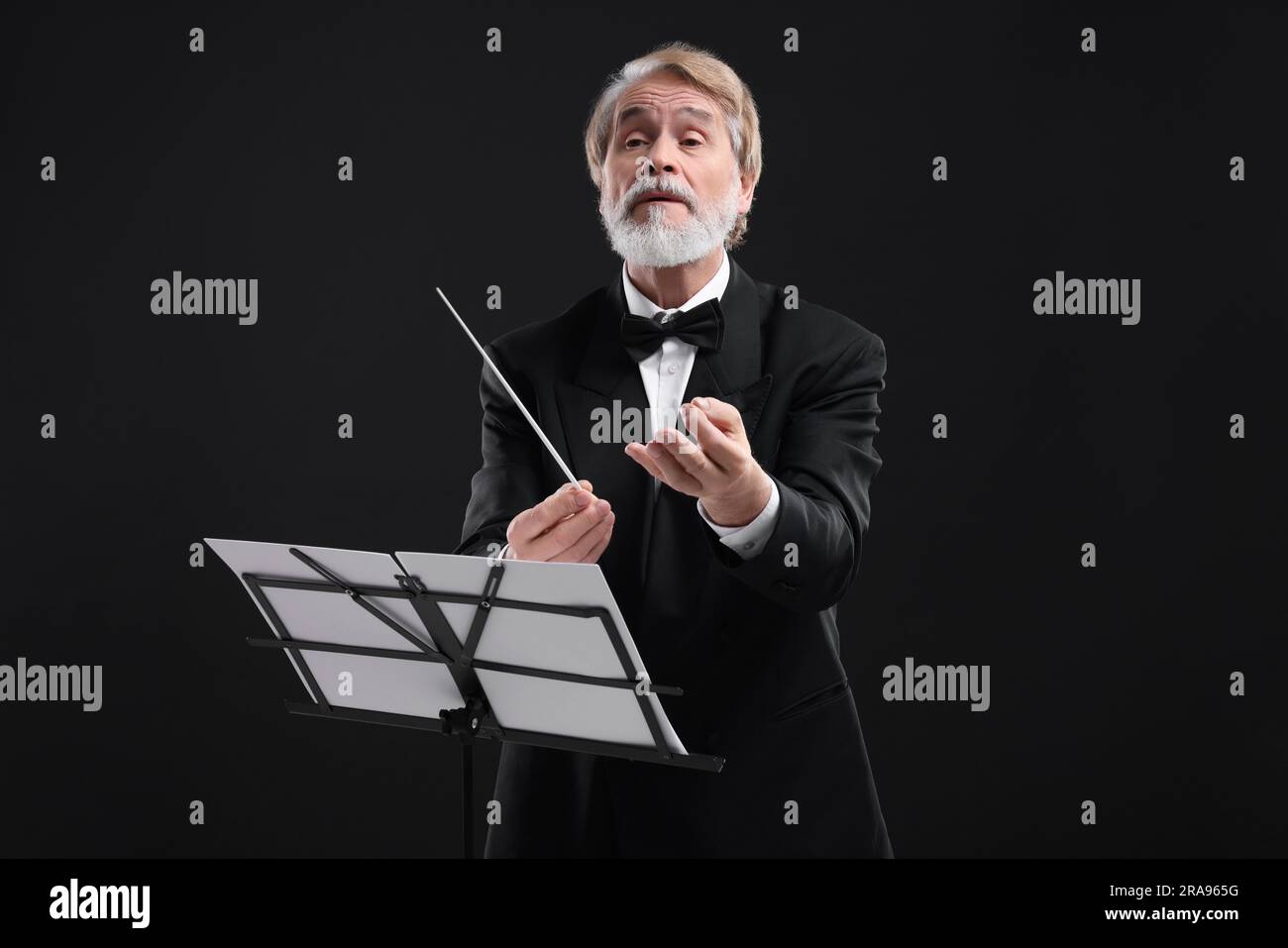 Professional conductor with baton and note stand on black background ...