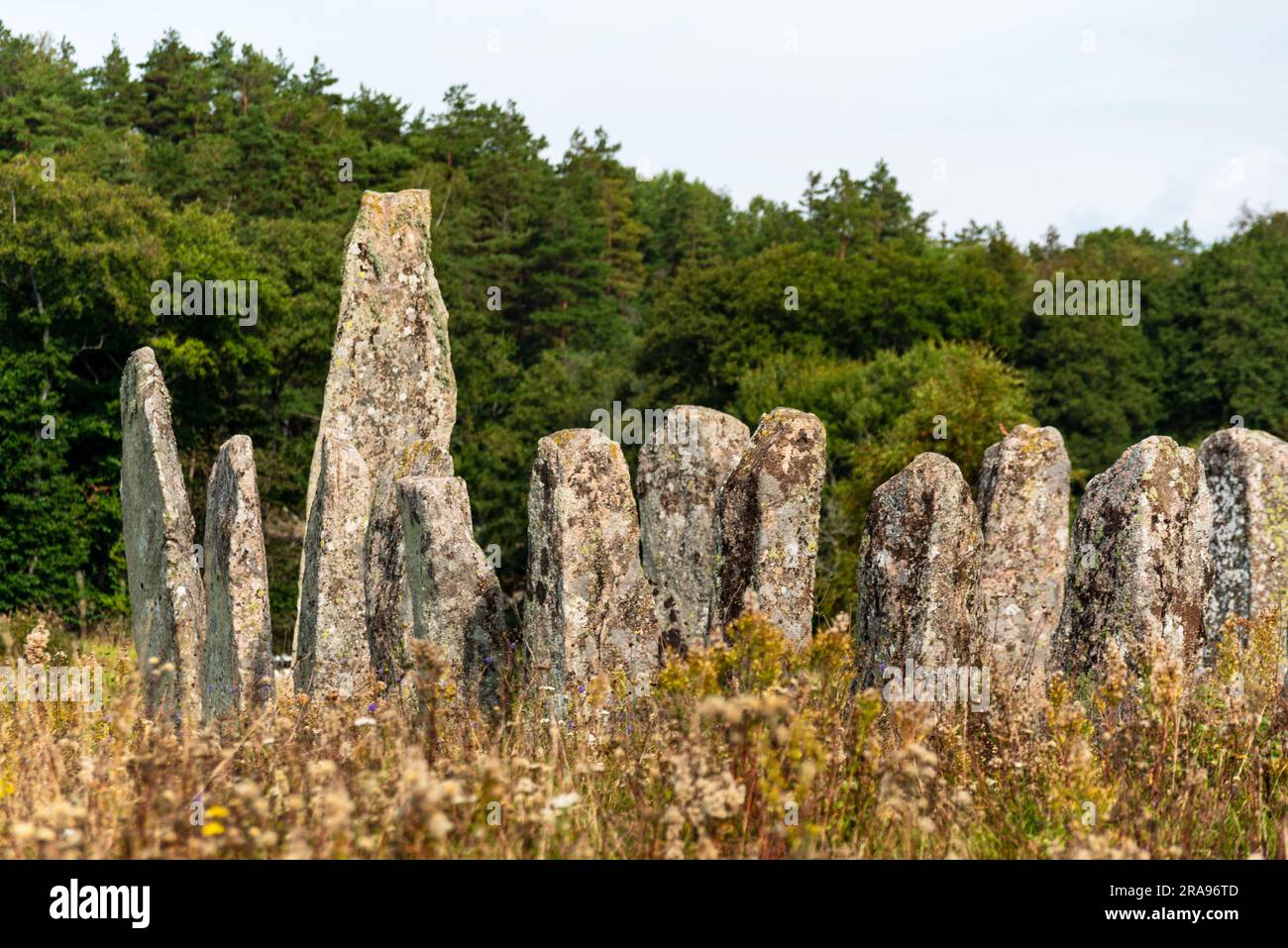 Stenskeppet - Blomsholm Stone Ship in Sweden Stock Photo - Alamy