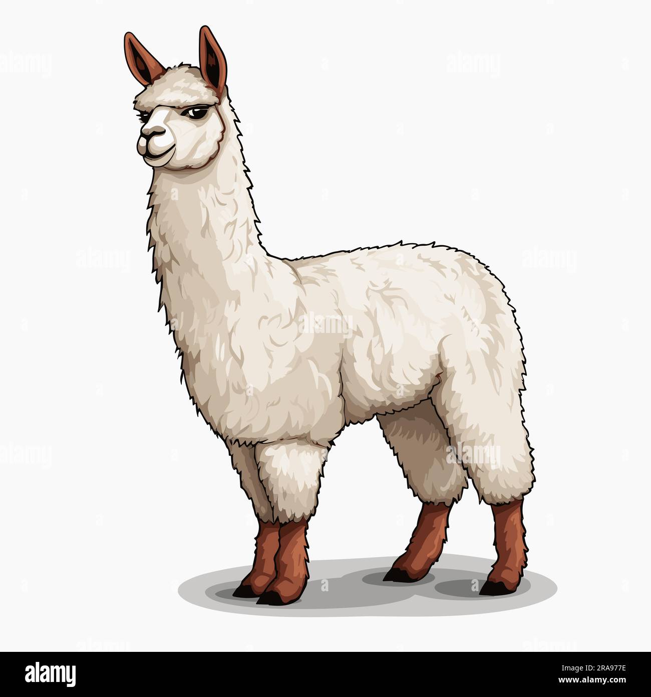 Animal hembra Stock Vector Images - Alamy