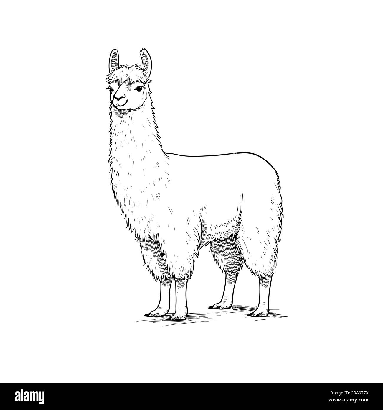 Animal hembra Stock Vector Images - Alamy