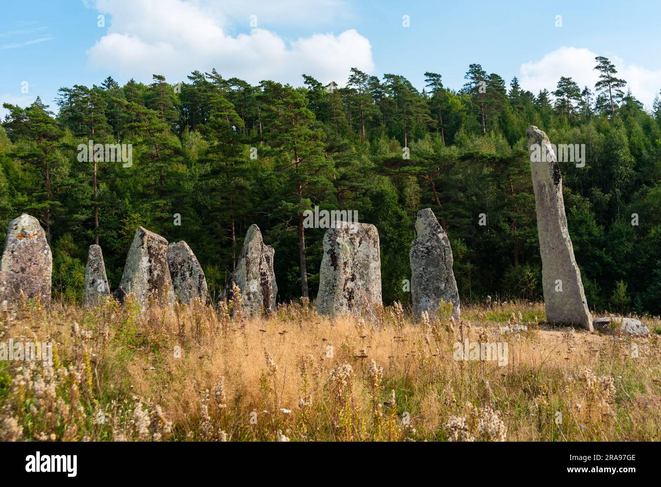 Blomsholm sweden hi-res stock photography and images - Alamy